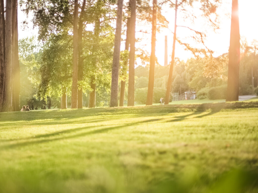 What to do in Tampere? - International Photodynamic Association World ...